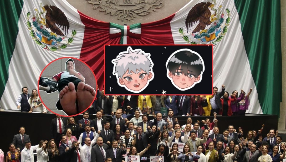 ¿Cuánto tiempo estaría en la cárcel por hacer memes, según la Ley Anti ...
