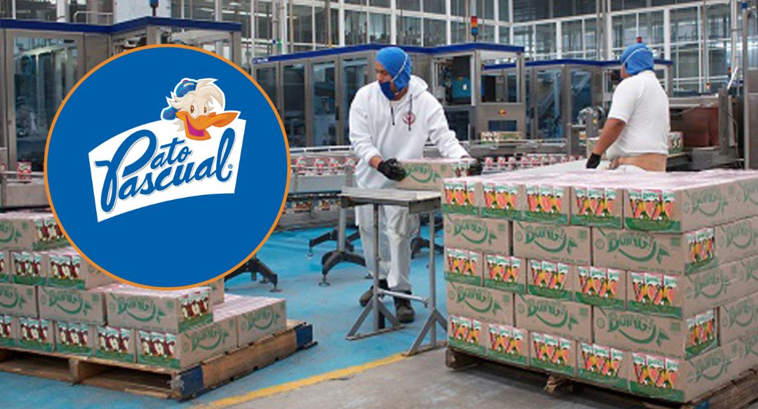 Diálogo con Cooperativa Pascual tras impuesto a refrescos: la ...