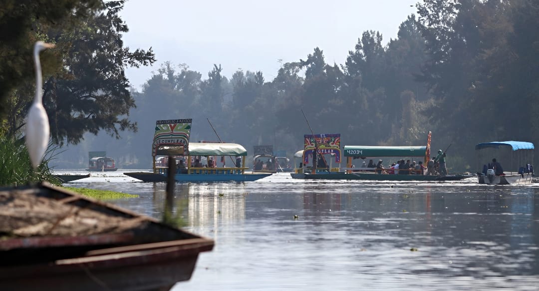 Canales de Xochimilco en riesgo: Chinampas y fauna peligran por sequía ...