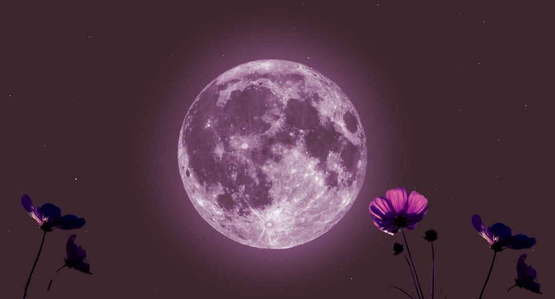Regalo astronómico: La Luna de Flores iluminará el cielo de mayo ...