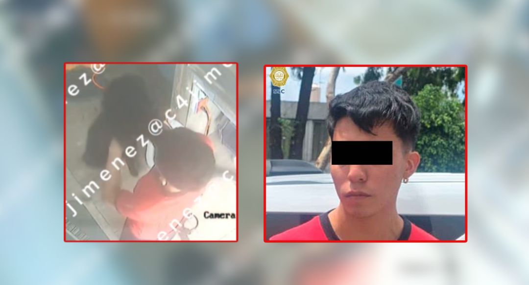 La historia de "Coco", el pomerania que murió mientras le realizaban ...