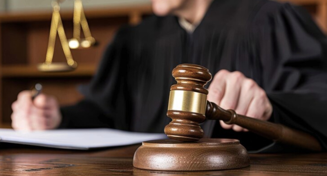 ¿cómo Está Integrado El Poder Judicial Más Allá De Los Ministros De Laemk 4471