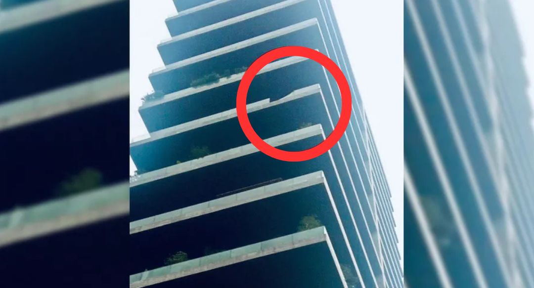 ¿Qué pasó en Polanco, CDMX? Ariela muere tras caer desde un balcón de ...