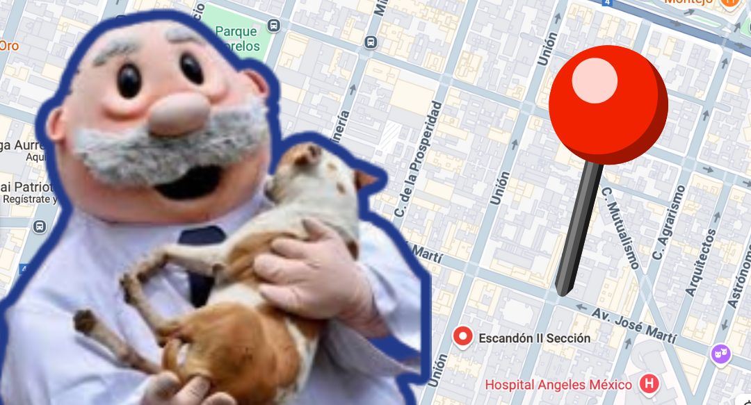 La colonia Escandón será sede de la primera veterinaria del Dr. Simi ...